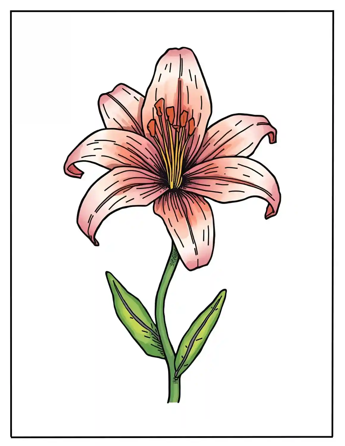 Free Printable Coloring pages For Kids [2025]